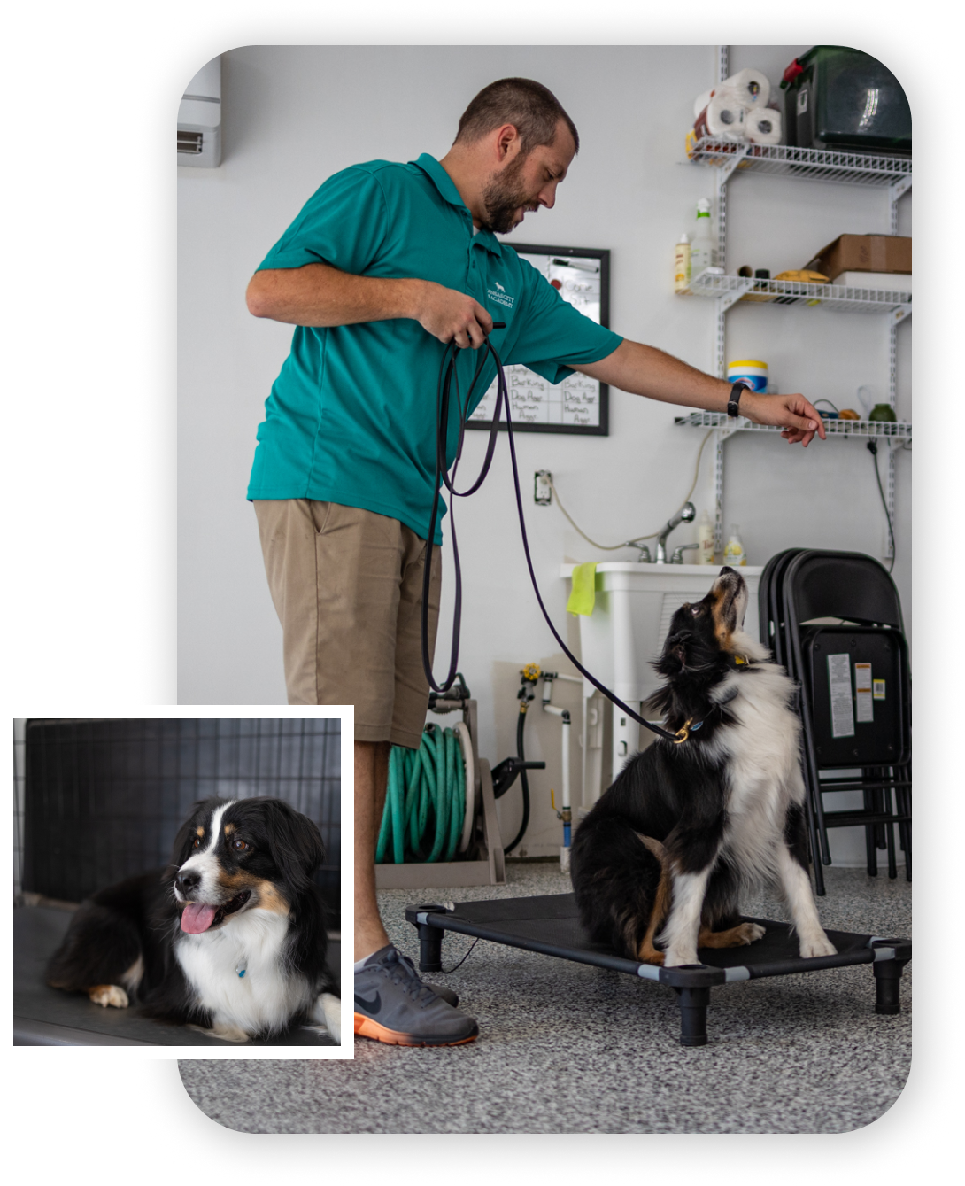 Kansas City K9 Academy - kansascityk9academy.com